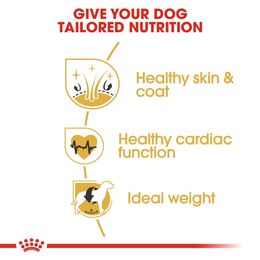 Royal Canin Golden Retriever Adult Hundefutter trocken 2x12kg