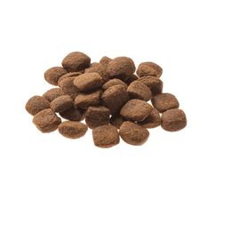Granatapet Natural Taste Ente & Forelle Hunde-Trockenfutter getreidefrei 2x12kg