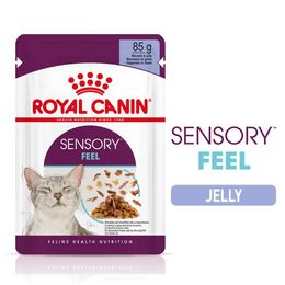 Royal Canin Sensory Feel Jelly Katzen-Nassfutter 48x85g