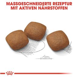Royal Canin Joint Care Maxi Hunde-Trockenfutter f&uuml;r gro&szlig;e Hunde mit empfindlichen Gelenken 10kg