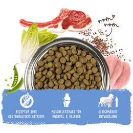 Bosch Junior Lamm & Reis Hunde-Trockenfutter ohne Gentechnik 2x15kg