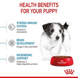 Royal Canin MINI Puppy Trockenfutter f&uuml;r Welpen kleiner Hunderassen 8kg