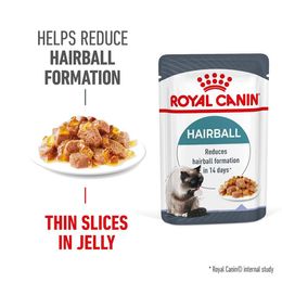 Royal Canin HAIRBALL CARE Katzen-Nassfutter gegen Haarballenbildung 12x85g