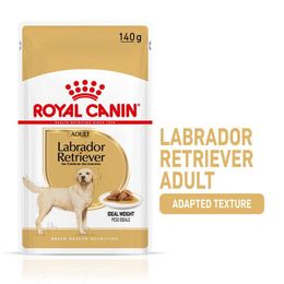 Royal Canin Labrador Retriever Adult St&uuml;ckchen in So&szlig;e Nassfutter f&uuml;r Hunde 20x140g