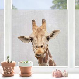 Bilderwelten Fensterfolie Giraffe Gundel - Sichtschutzfolie, Fensterbild, Fensteraufkleber, Kinderzimmer,M&auml;dchenzimmer,Jungenzimmer,Tiere