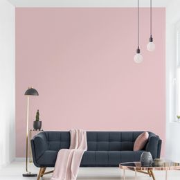 Bilderwelten Fototapete Vliestapete Unifarben Wandtapete einzigartig - Colour Rose - Deko Wohnzimmer Schlafzimmer