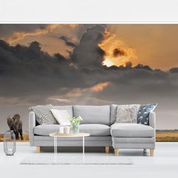 Bilderwelten Tapete - Fototapete Afrika - Elefanten der Savanne - Wandtapete Bildtapete Schlafzimmer Wohnzimmer modern - auch kleisterfrei