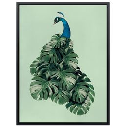 Bilderwelten Leinwandbild - Hochformat Pfau mit Monstera Bl&auml;ttern