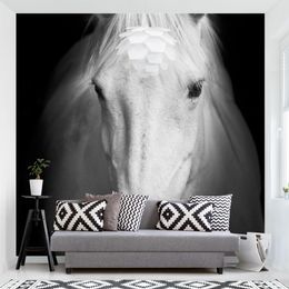 Bilderwelten Tapete - Fototapete Pferdetapete - Dream of a Horse - Pferd - M&auml;dchenzimmer - Wandtapete Schlafzimmer Wohnzimmer - auch selbstklebend