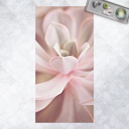 Bilderwelten Vinylteppich Motiv rosa Vinylmatte - Rosane Sukkulentenbl&uuml;te - Deko K&uuml;che Badezimmer Flur