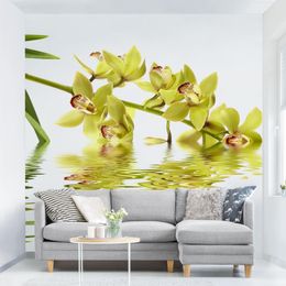 Bilderwelten Fototapete Blumen modern Wandtapete weiss - Elegant Orchid Waters - Orchidee Wohnzimmer Schlafzimmer