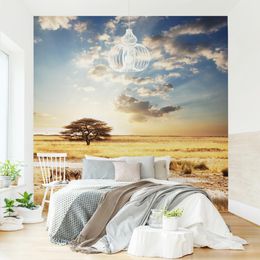 Bilderwelten Tapete - Fototapete Afrika - Das Leben der Zebra - Natur Bildtapete Bildtapete Schlafzimmer Wohnzimmer Fototapete Zebra