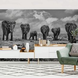 Bilderwelten Fototapete Tiere Motiv Wandtapete schwarz weiss - Gro&szlig;familie - africa Wohnzimmer Schlafzimmer