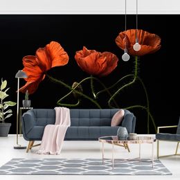Bilderwelten Tapete - Fototapete Mohnblumen um Mitternacht - Blumentapete Wandtapete Schlafzimmer Wohnzimmer modern - auch selbstklebend