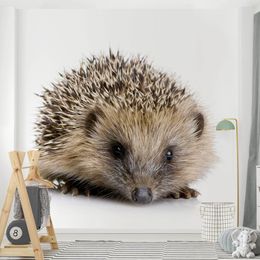Bilderwelten Tapete - Fototapete Kleiner Igel - Wandtapete Schlafzimmer Wohnzimmer modern - auch kleisterfrei