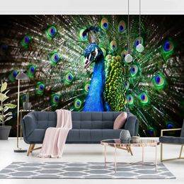 Bilderwelten Fototapete Tiere Motiv Wandtapete blau - Edler Pfau - V&ouml;gel Wohnzimmer Schlafzimmer