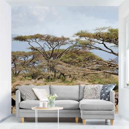 Bilderwelten Tapete - Fototapete Afrika - Gnuherde in der Savanne - Wandtapete Bildtapete Schlafzimmer Wohnzimmer modern - auch kleisterfrei