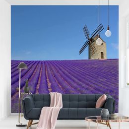 Bilderwelten Fototapete Natur modern Wandtapete violett - Lavendelduft in der Provence - Architektur Wohnzimmer Schlafzimmer