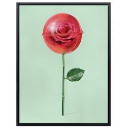 Bilderwelten Leinwandbild Rose mit Lollipop
