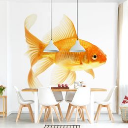 Fototapete Frau Goldfisch - Vliestapete nach Ma&szlig; Kinder Tiere Kinderzimmer Jungen Jungenzimmer M&auml;dchen M&auml;dchenzimmer Baby Babyzimmer Wei&szlig;