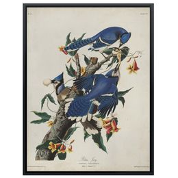 Bilderwelten Leinwandbild Vintage Lehrtafel Blauer H&auml;her