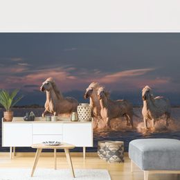 Bilderwelten Tapete Tiere - Fototapete Wilde Pferde in Kamargue - Wandtapete Schlafzimmer Wohnzimmer - auch selbstklebend Fototapete Wohnzimmer