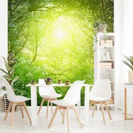 Bilderwelten Tapete - Fototapete Wald Dschungel - Traumzauberwald - Lichtung - Natur Bildtapete Jungle Schlafzimmer Wohnzimmer - auch selbstklebend