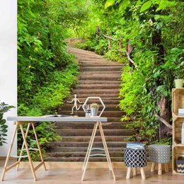 Bilderwelten Tapete - Fototapete Wald - Treppenaufstieg im Wald - Wandtapete Schlafzimmer Wohnzimmer modern - auch kleisterfrei- Vlies