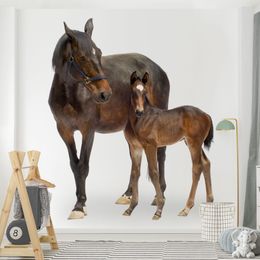 Bilderwelten Fototapete Tiere modern Wandtapete braun - Trakehnerstute & Fohlen - Pferde Kinderzimmer Baby M&auml;dchen Jungen