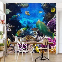 Bilderwelten Tapete - Fototapete Unterwasserwelt - Underwater Dreams - Fische - Schlafzimmer Wohnzimmer - auch selbstklebend Unterwasser