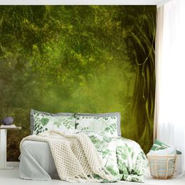 Bilderwelten Tapete - Fototapete Wald - Waldspaziergang - Wandtapete Bildtapete Schlafzimmer Wohnzimmer modern - auch kleisterfrei