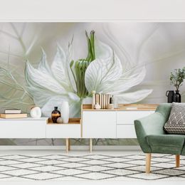 Bilderwelten Tapete - Fototapete Blumen - Wei&szlig;e Nigella - Blumentapete Wandtapete nach Ma&szlig; Schlafzimmer Wohnzimmer modern - auch selbstklebend