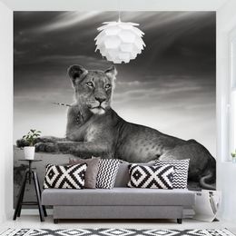 Bilderwelten Tapete - Fototapete Resting Lion - Wandtapete Schlafzimmer Wohnzimmer modern - auch kleisterfrei