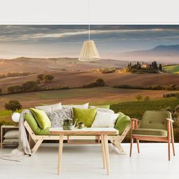 Bilderwelten Fototapete Natur - Schlafzimmer Wohnzimmer Italien - Olivenhain in der Toskana - 3D Landschaft - Schlafzimmer Wohnzimmer