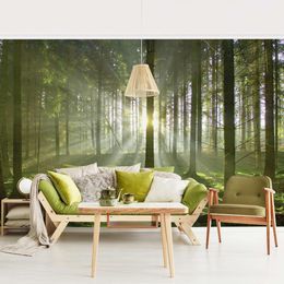 Bilderwelten Fototapete Wald Motiv Wandtapete gr&uuml;n - Spring Fairytale - B&auml;ume Wohnzimmer Schlafzimmer