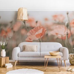 Bilderwelten Fototapete Blumen Landhaus Wandtapete rot - Sonnengek&uuml;sste Mohnfelder - Mohn Wohnzimmer Schlafzimmer