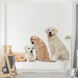 Bilderwelten Fototapete Tiere modern Wandtapete einzigartig - No.454 Portait of Labradors and Golden Retriever - Deko Wohnzimmer Schlafzimmer