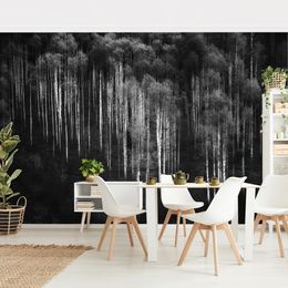Bilderwelten Fototapete Wald Motiv Wandtapete schwarz weiss - Birkenwald in Aspen - B&auml;ume Wohnzimmer Schlafzimmer