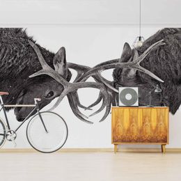Bilderwelten Fototapete Tiere modern Wandtapete schwarz weiss - Von Auge zu Auge - Deko Wohnzimmer Schlafzimmer
