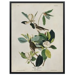Bilderwelten Leinwandbild Vintage Lehrtafel Fliegenschn&auml;pper