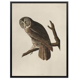 Bilderwelten Leinwandbild Vintage Lehrtafel Gro&szlig;e Eule