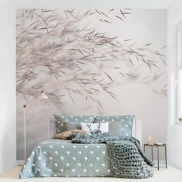 Bilderwelten Fototapeten Wiesengras grau wei&szlig; beige selbstklebende Tapete Gr&auml;ser Wiesen Natur Blumen Wohnzimmer,Schlafzimmer,Flur Vliestapete