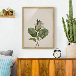 Bilderwelten Bild mit Rahmen Portrait gr&uuml;n Vintage inkl. Rahmung - Film Ab im Garten - Retro Wohnzimmer Schlafzimmer