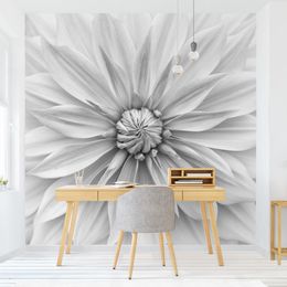 Bilderwelten Fototapete Blumen Motiv Wandtapete schwarz weiss - Botanische Bl&uuml;te in Wei&szlig; - Deko Wohnzimmer Schlafzimmer