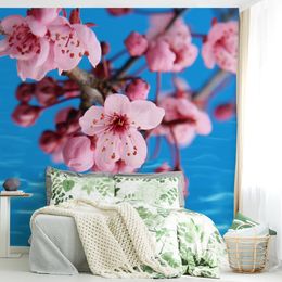 Bilderwelten Blumentapete von - Kirschbl&uuml;te - Fototapete Florale Blumen Schlafzimmer Wohnzimmer modern - auch selbstklebend
