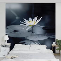 Bilderwelten Blumentapete Lotus Spiegelung im Wasser Blume Schwarz Wei&szlig; Bl&uuml;te Fototapete selbstklebende Tapete Wandtapeten Wohnzimmer,Badezimmer Vliestapete