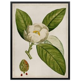 Bilderwelten Leinwandbild - Hochformat Tableau Blatt Bl&uuml;te Frucht II