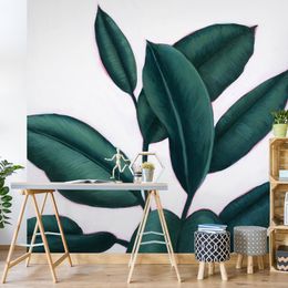 Bilderwelten Fototapete originell Tropisch Wandtapete gr&uuml;n - Ficusbl&auml;tter - Pflanzen Wohnzimmer Schlafzimmer
