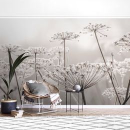Bilderwelten Fototapete Blumen Landhaus Wandtapete beige - Doldenbl&uuml;ten im Frost - Gr&auml;ser Wohnzimmer Schlafzimmer