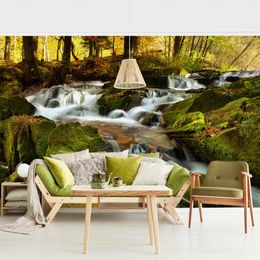 Bilderwelten Fototapete Wasserfall herbstlicher Wald